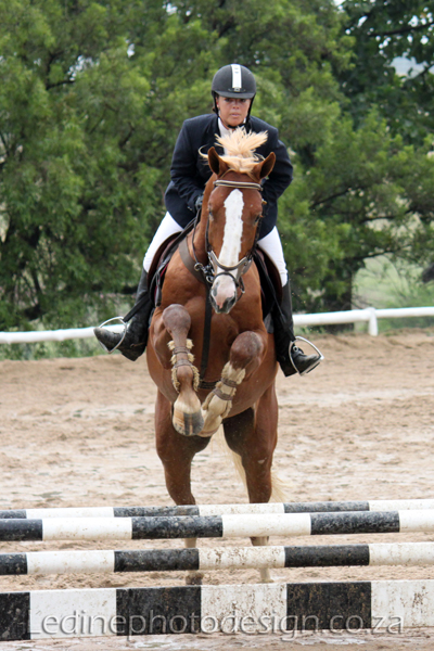 Horse Show Jumping - Port Nolloth | Springbok