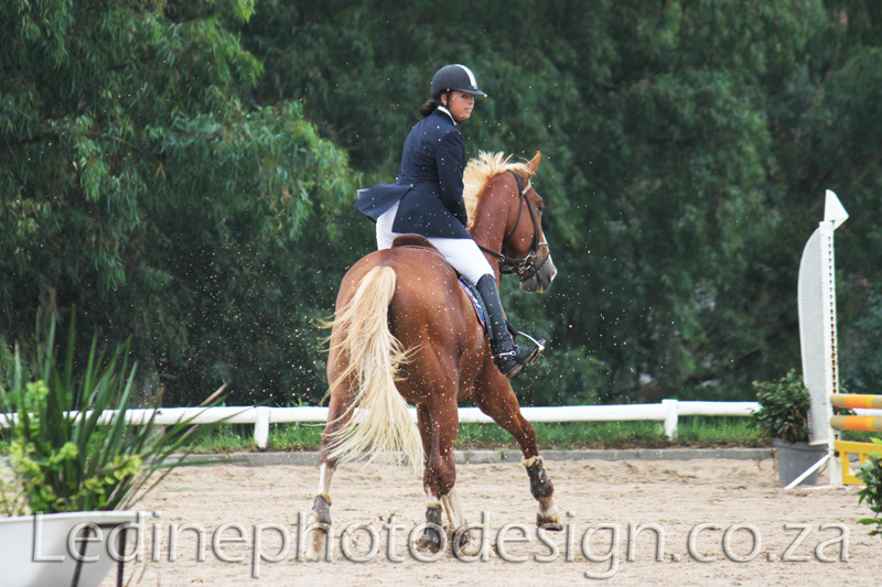 Horse Show Jumping - Port Nolloth | Springbok